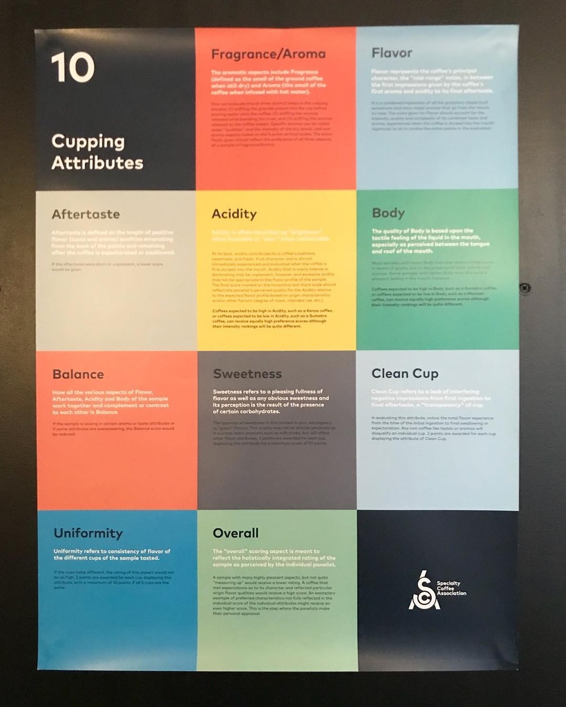 The Cupping Attributes Poster - SCA | WB.coffee